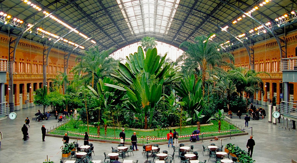 Cork’s Largest Landscaping Company With Over 25 Years of Experience