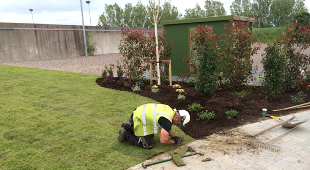 Cork’s Largest Landscaping Company With Over 25 Years of Experience